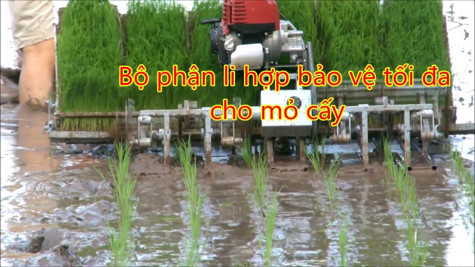 Cấy lúa bằng máy