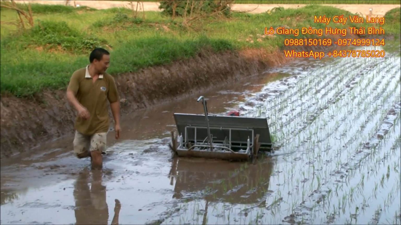 Cấy lúa bằng máy